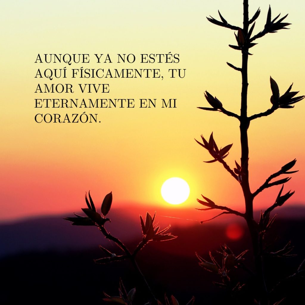 Frases bonitas cortas para recordar a un ser querido fallecido