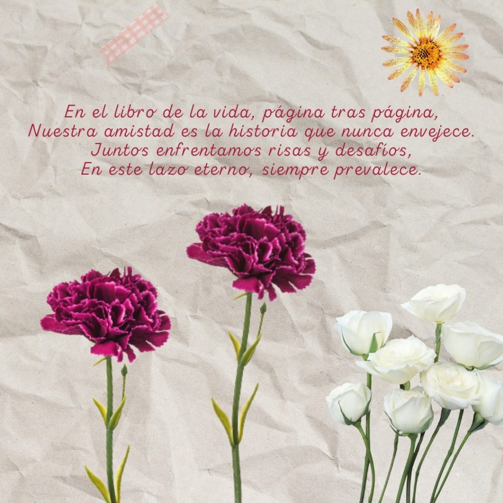 Poemas Cortos De Amistad Bonitos Para Dedicar