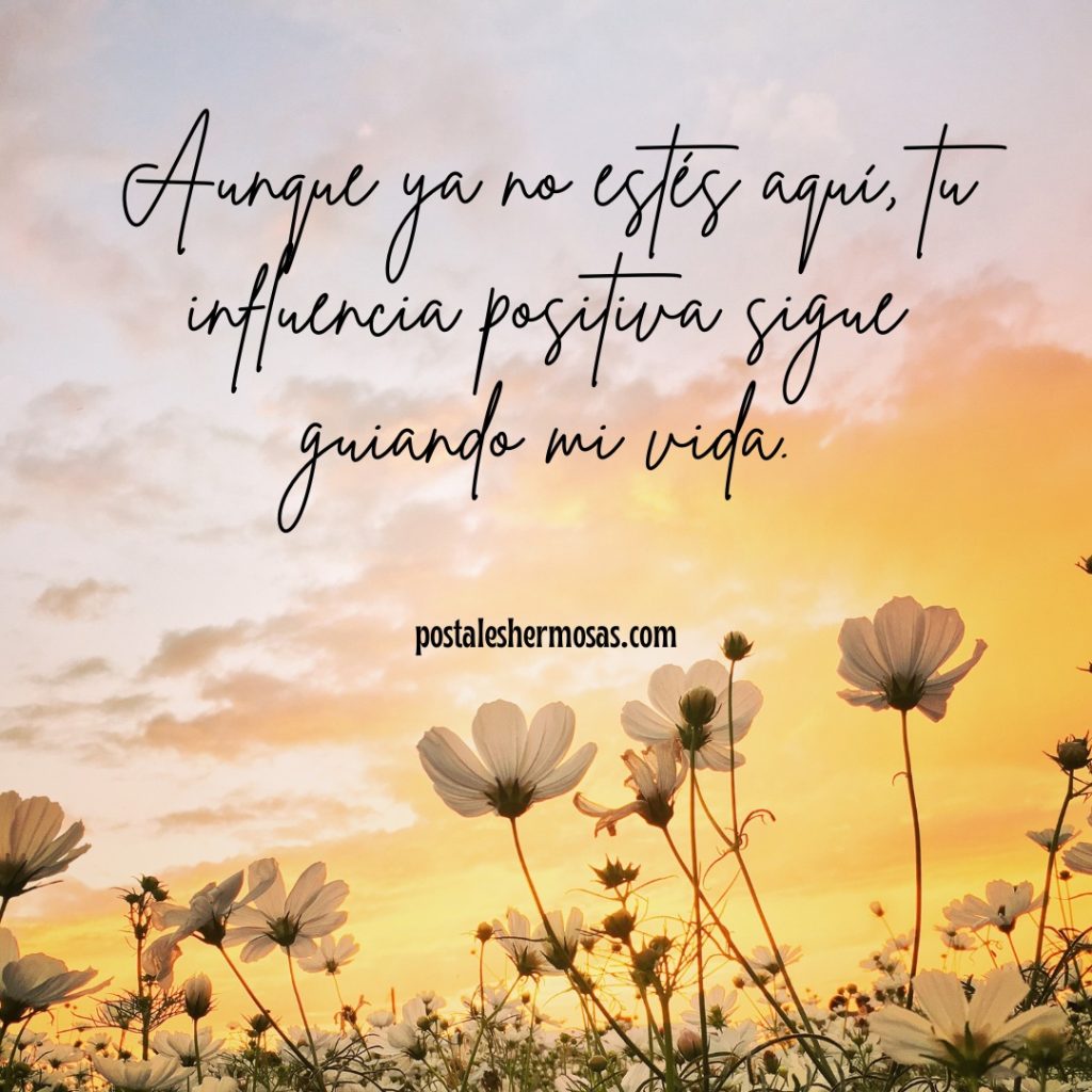 Frases bonitas cortas para recordar a un ser querido fallecido