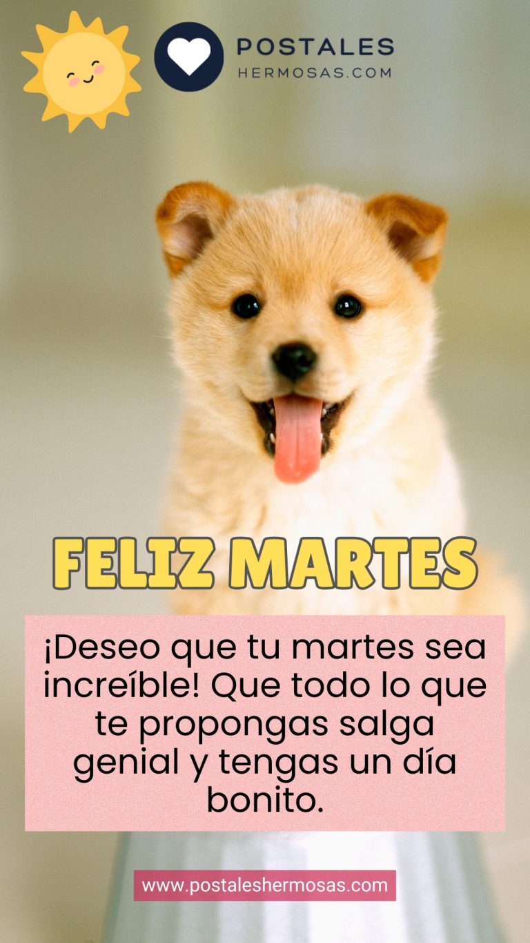Imagenes de Feliz Martes Buenos Dias Bendiciones Hermosas